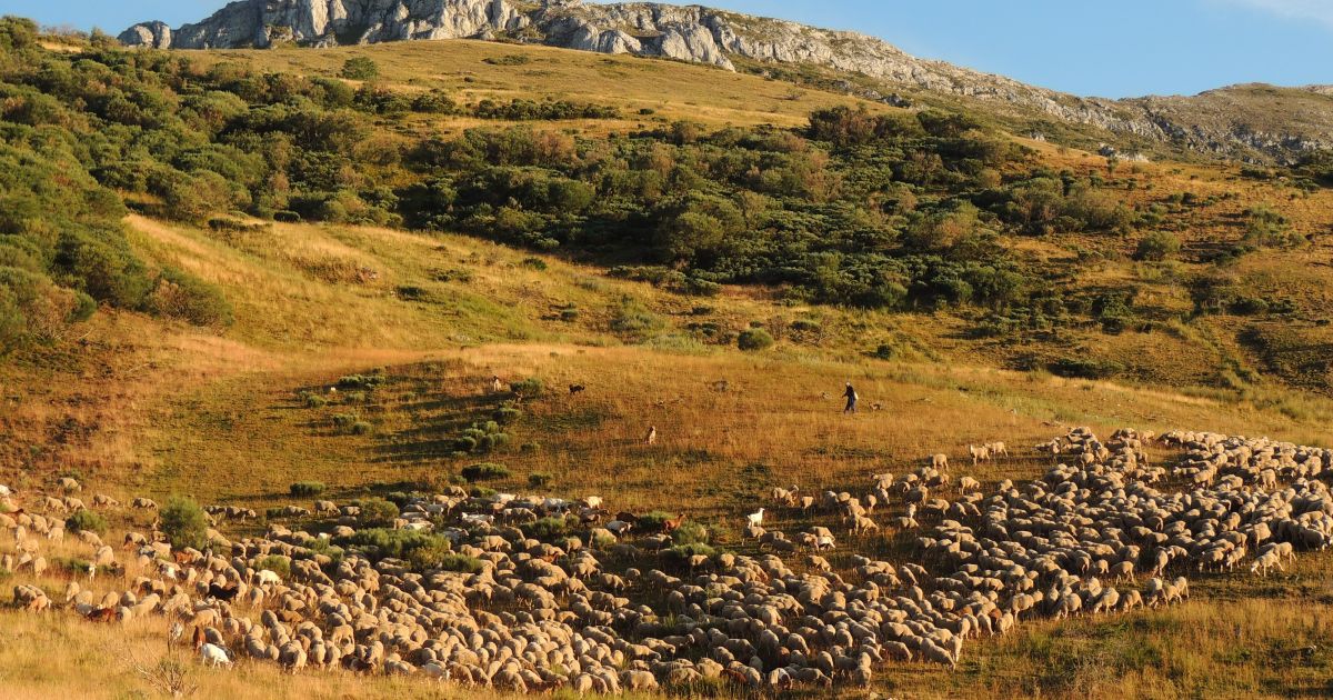 Objectives | cocoproject.eu