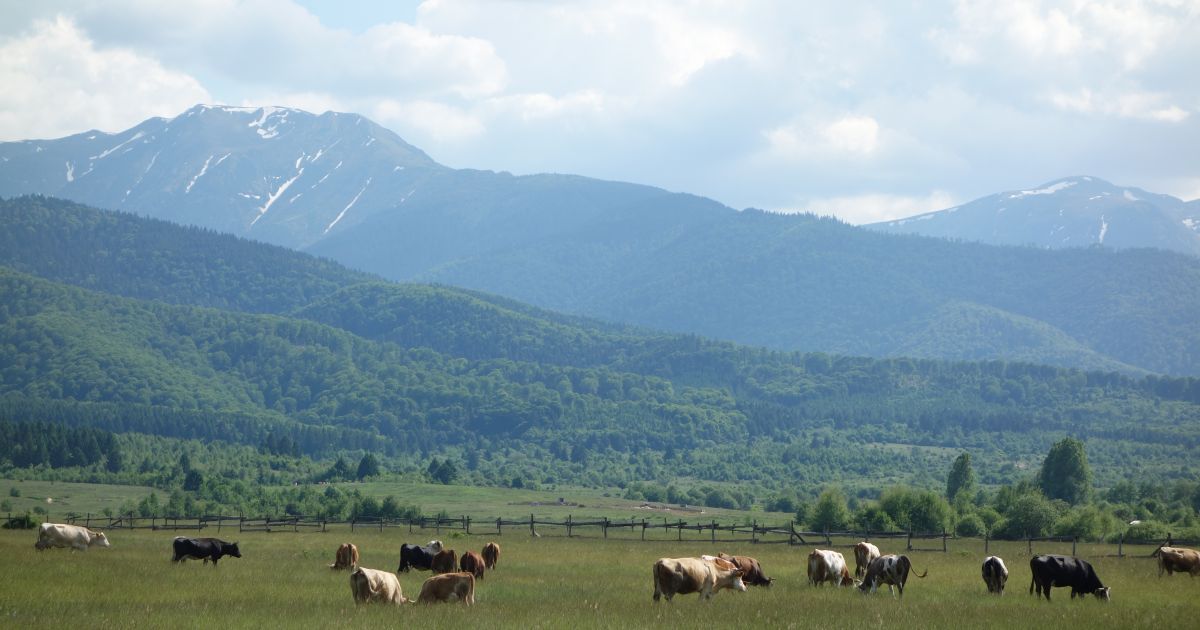 Activities and Outputs | cocoproject.eu