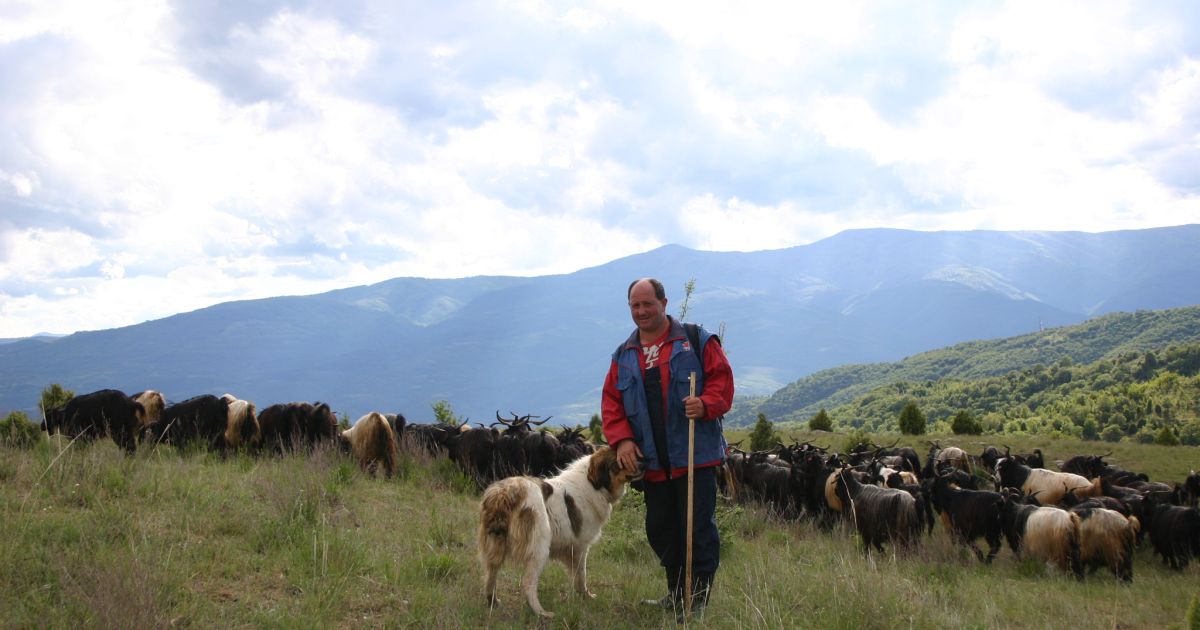 Coexistence with Europe’s carnivores is possible | cocoproject.eu